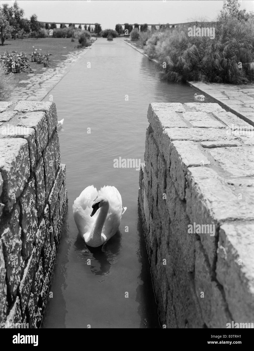 Modern green park Black and White Stock Photos & Images - Alamy