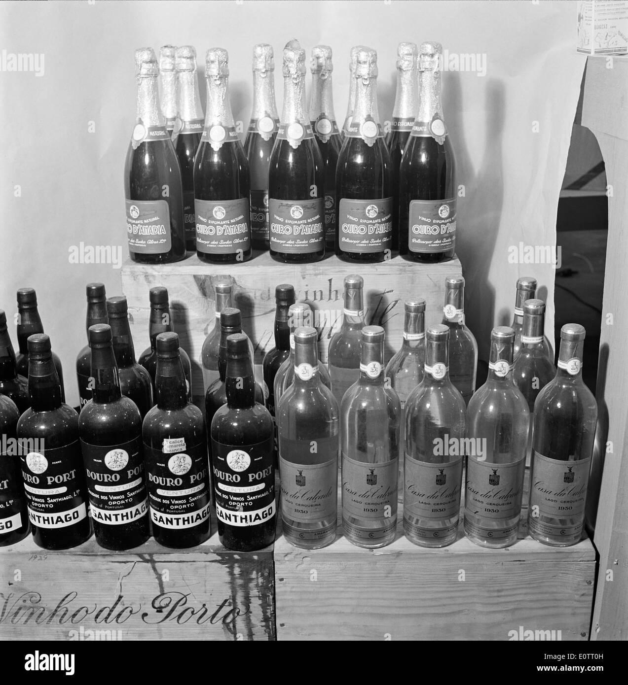 Portuguese grape varieties Black and White Stock Photos & Images - Alamy