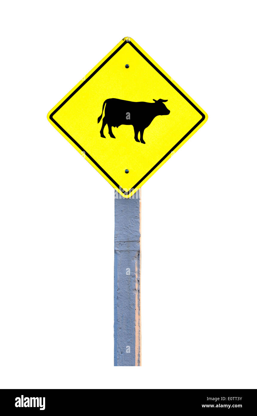 Cow warning sign isolated on white background Stock Photo - Alamy