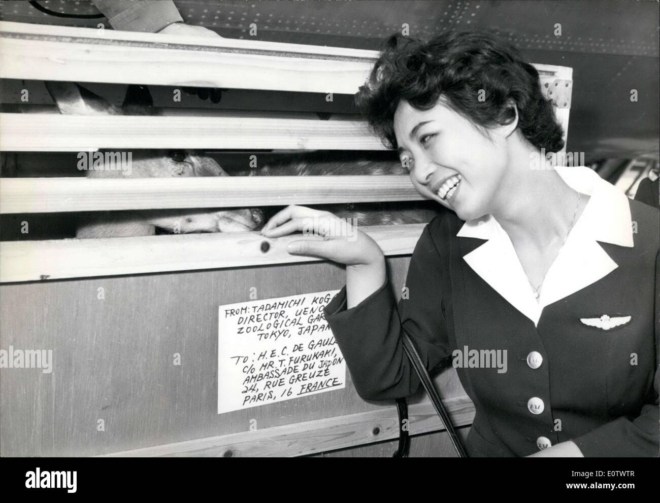 Kasuya hi-res stock photography and images - Alamy