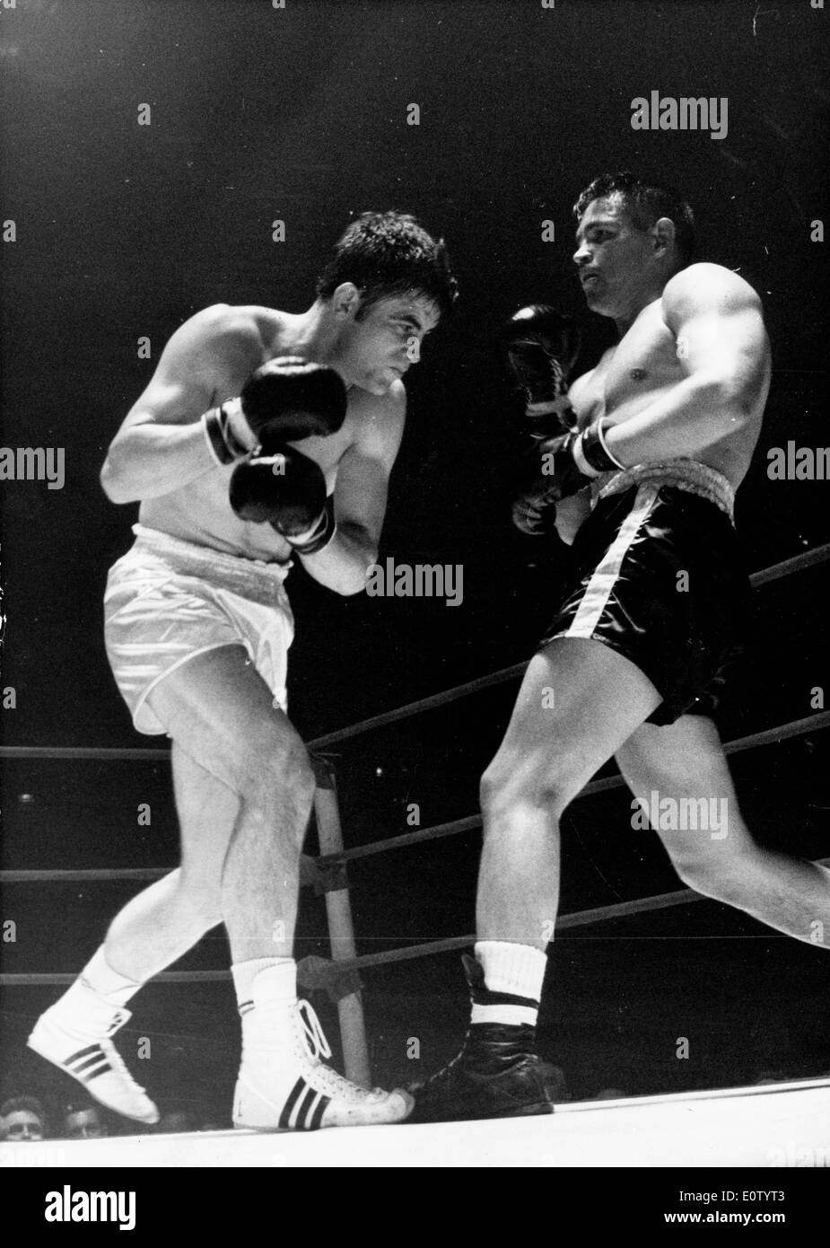 Johnny Boxer Stock Photos & Johnny Boxer Stock Images - Alamy