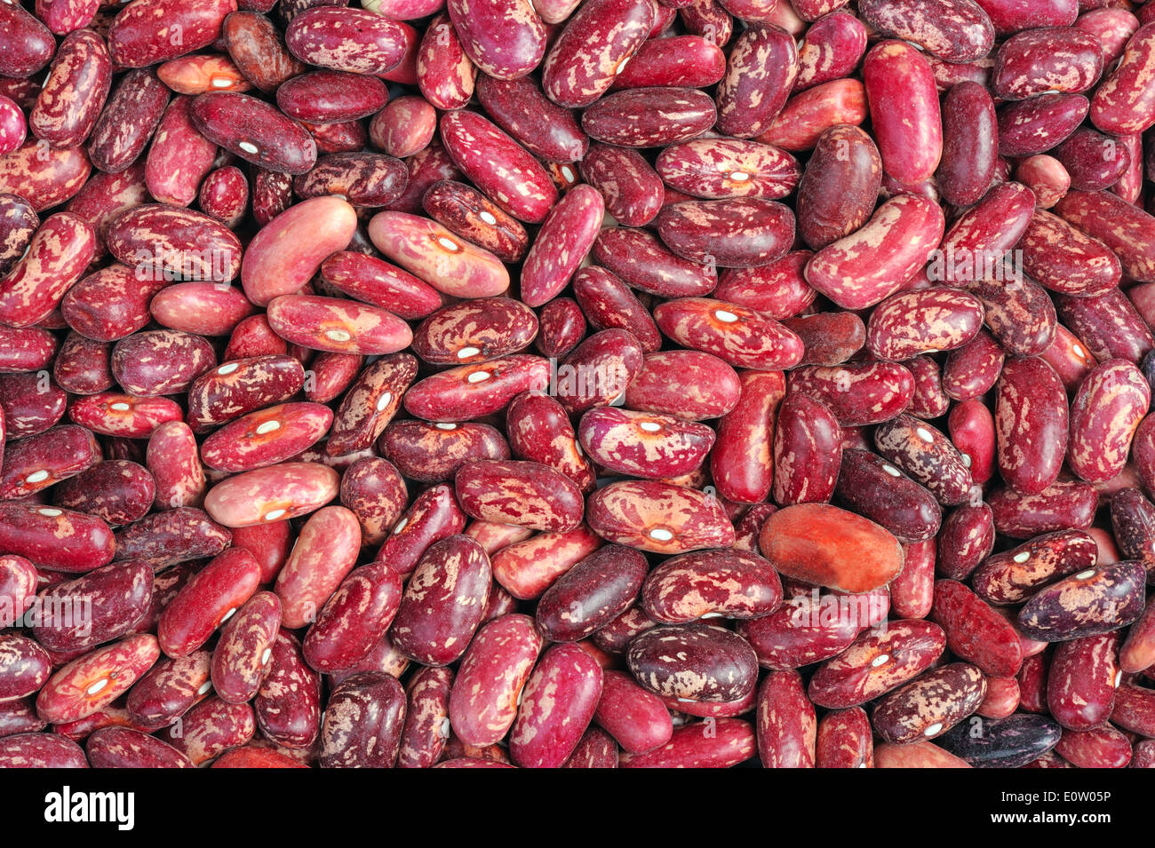 Seed of spotted beans on a white background, close-up Stock Photo - Alamy