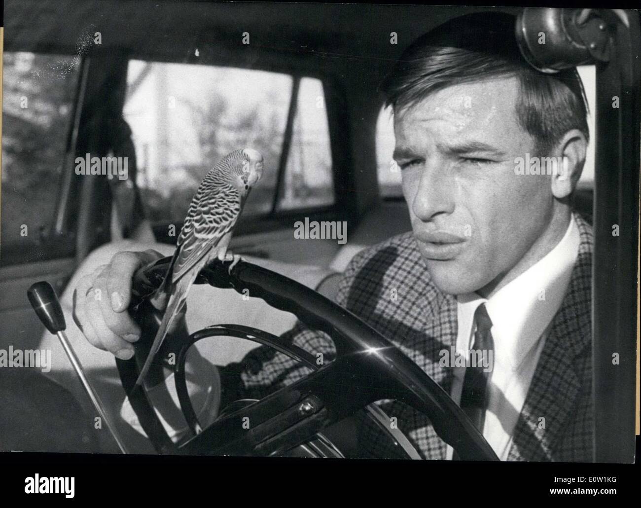 Nov. 20, 1960 - A Munich taxi driver was quite surprised when this ...