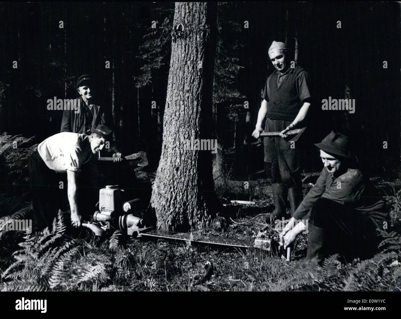 Dec. 12, 1960 - Former Commander of Concentration camp as lumber jack ...