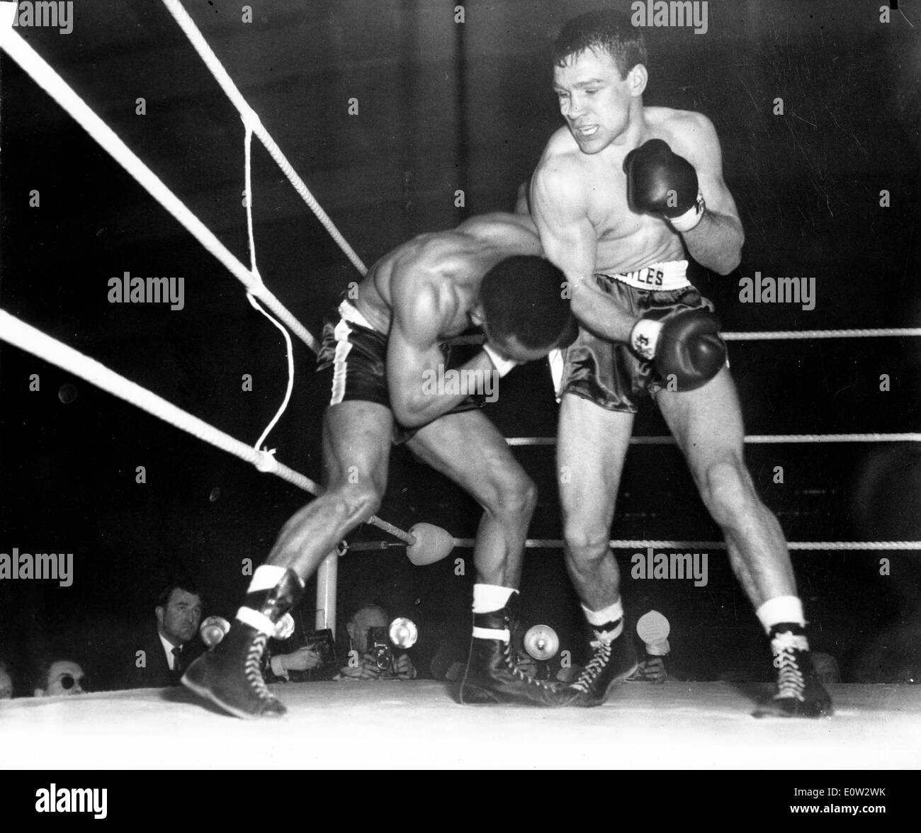 English Boxer Black and White Stock Photos & Images - Alamy