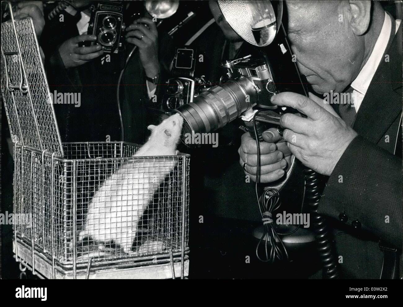 1961 space rat hector hi-res stock photography and images - Alamy