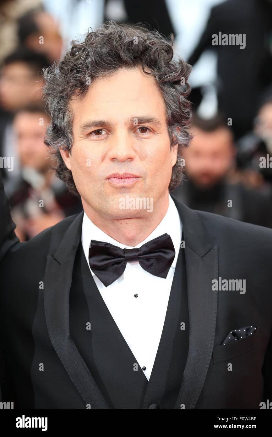 Actor Mark Ruffalo attends the premiere of "Foxcatcher" during the 67th ...