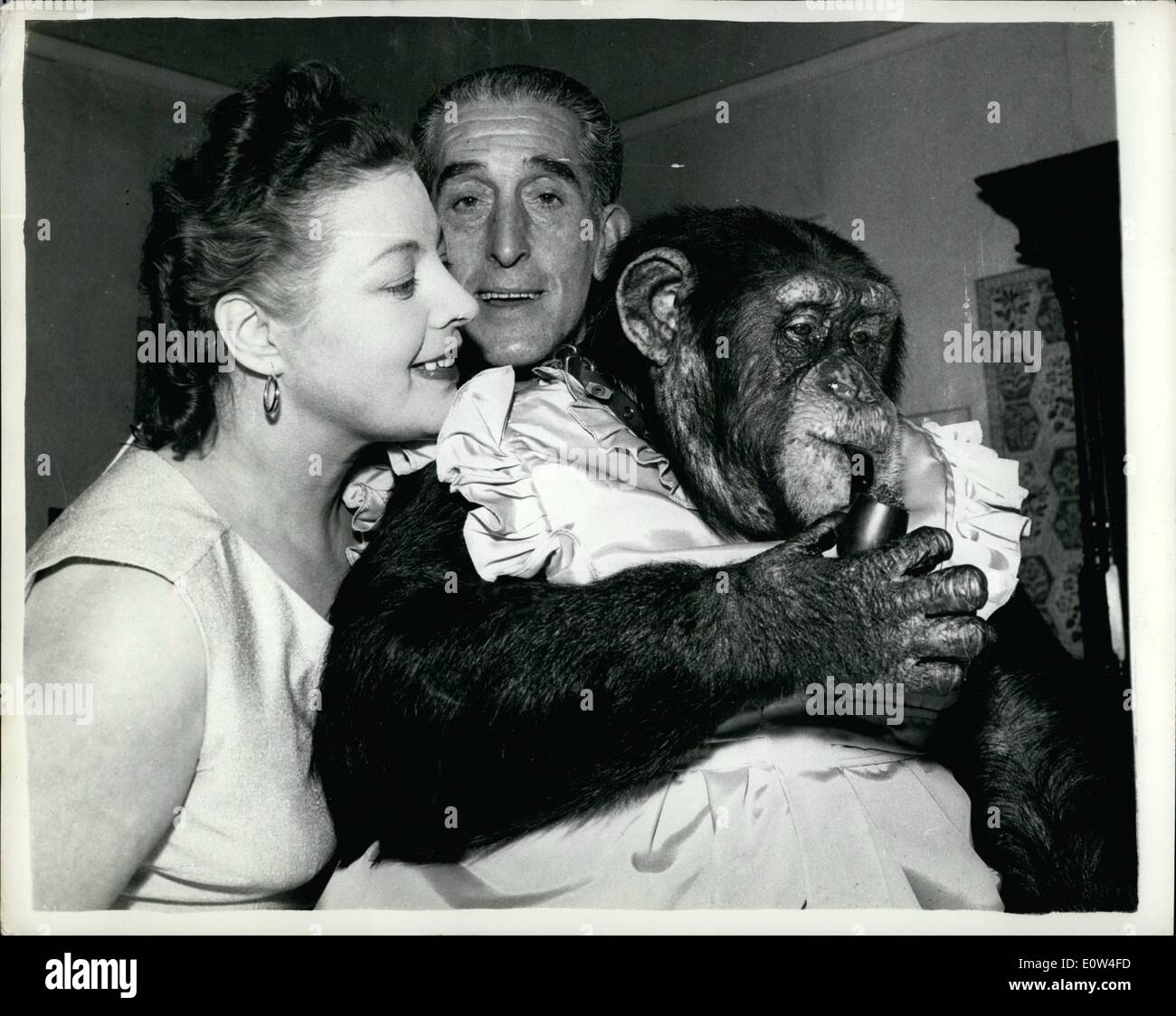 Apr. 04, 1961 - Police Claim Chimp Attacked Them: A seching Chimpanzee ...