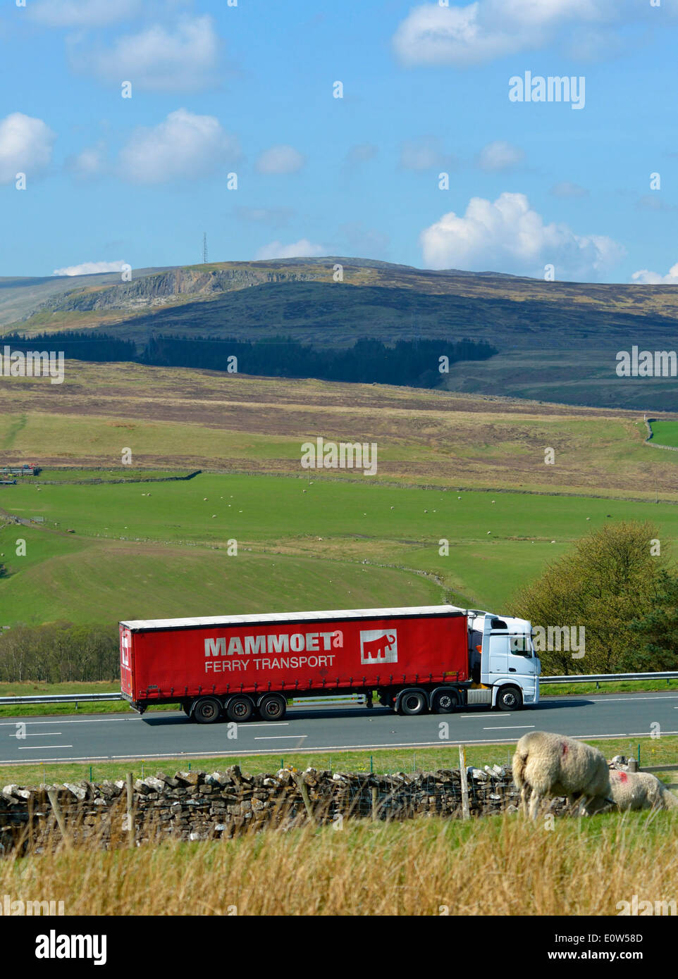 Mammoet Ferry Transport HGV on M6 motorway. Shap, Cumbria, England ...