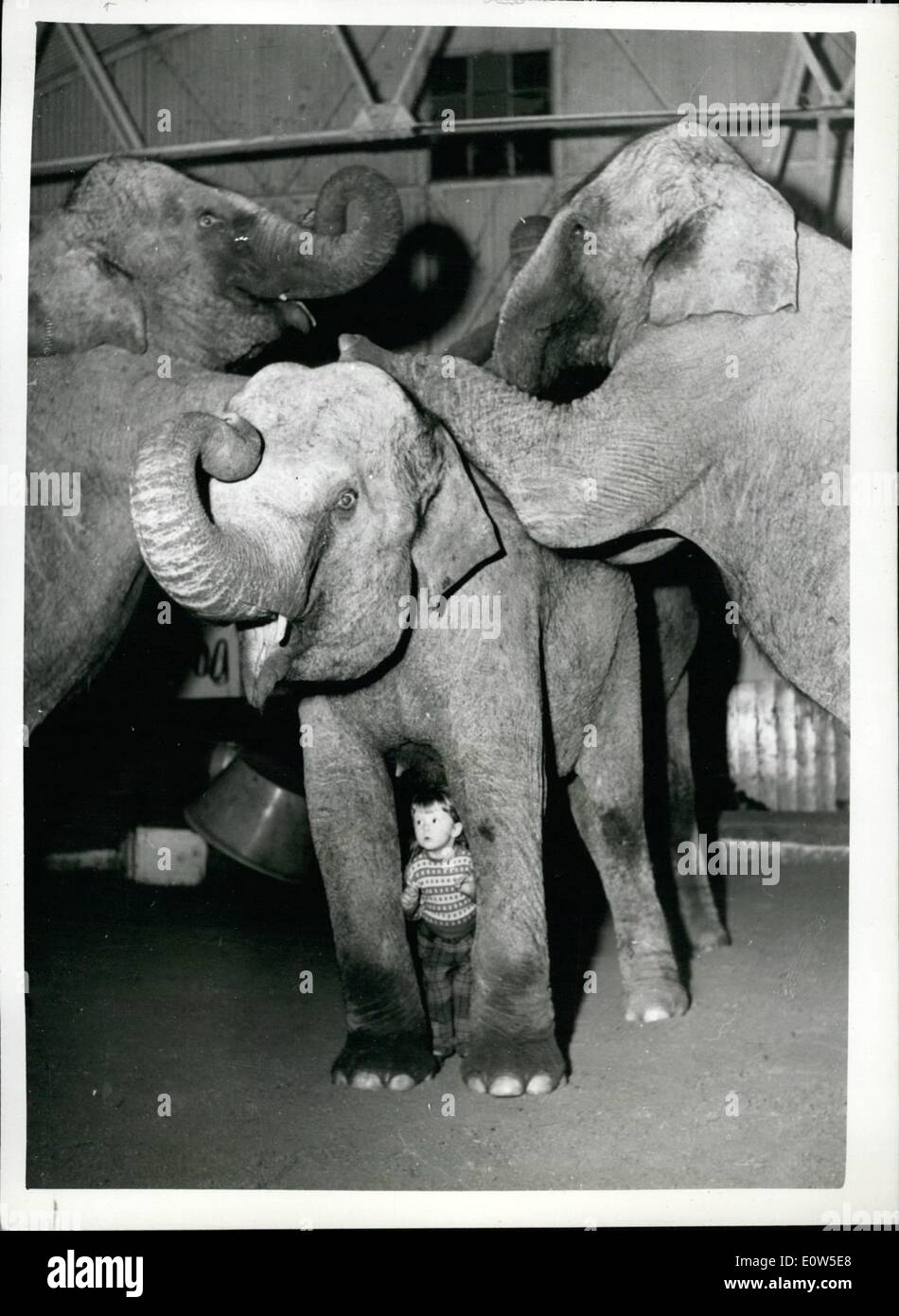 Animal trainer and elephant in circus hi-res stock photography and ...