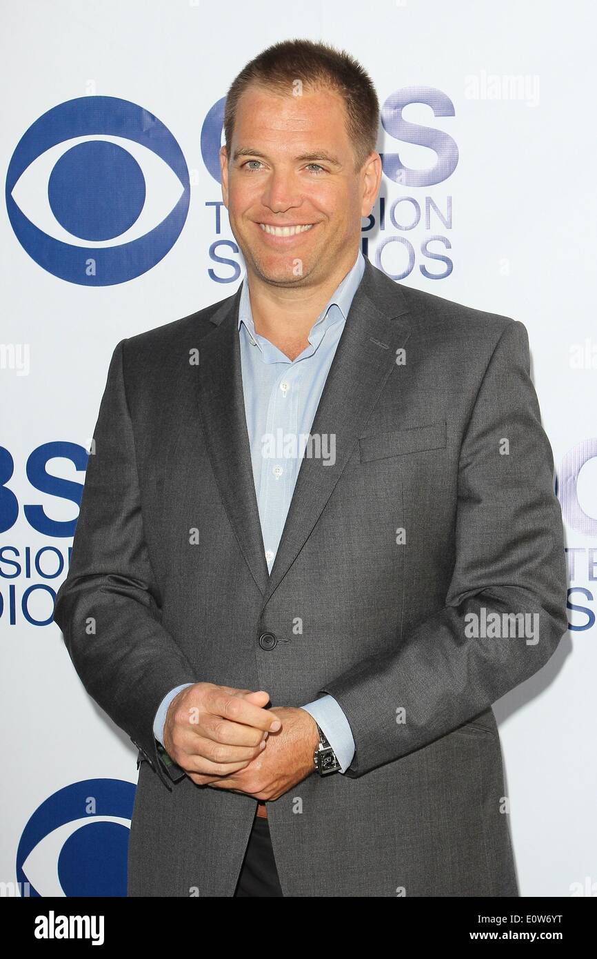 Los Angeles, California, USA. 19th May, 2014. Michael Weatherly attends ...