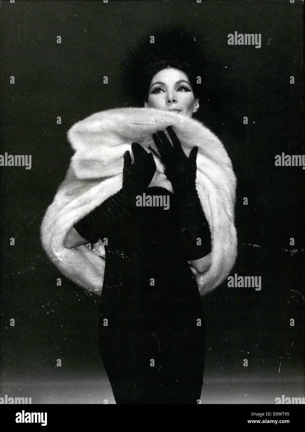 Furrier hi-res stock photography and images - Alamy