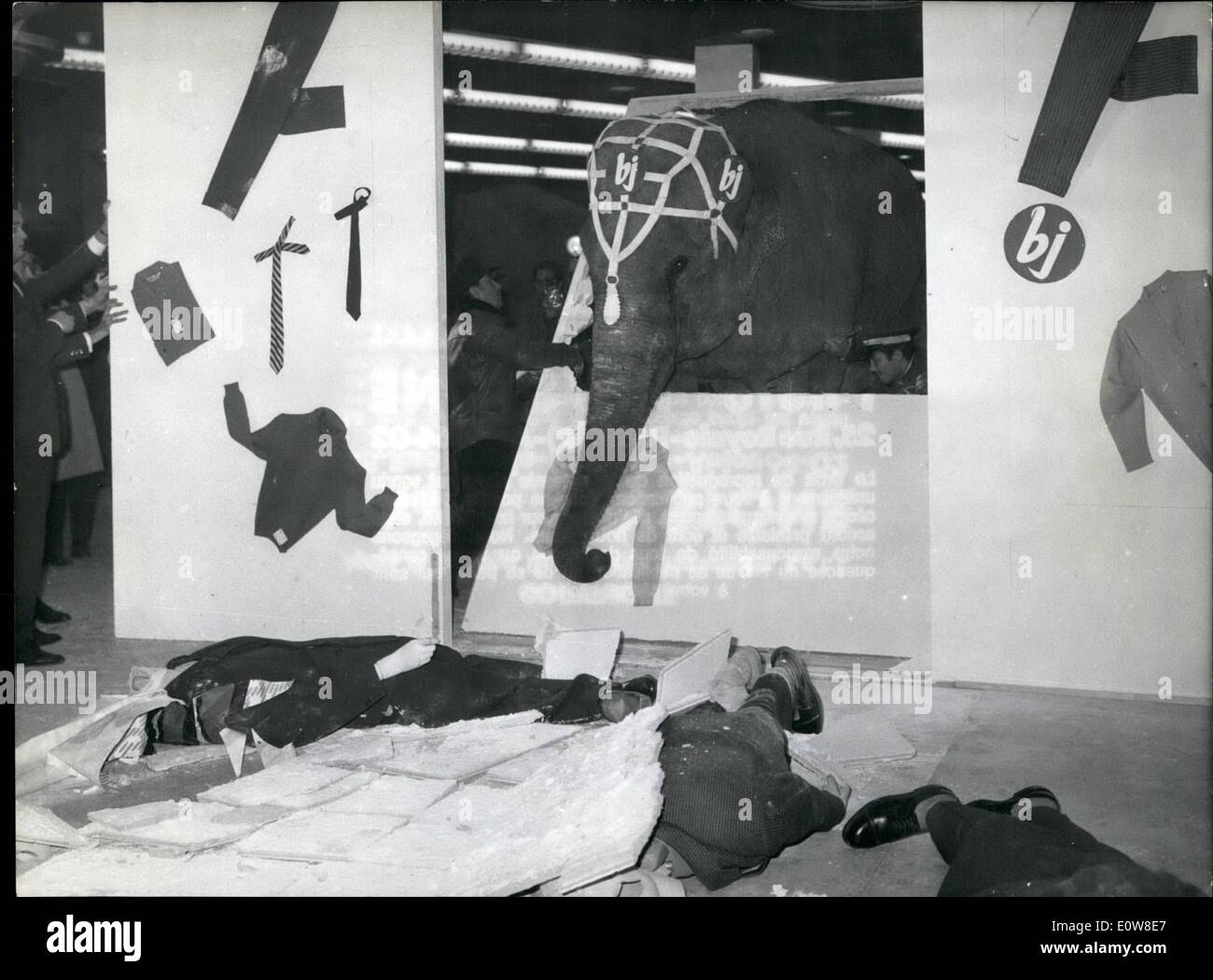 Circus elephants help pull down paris shop hi-res stock photography and ...