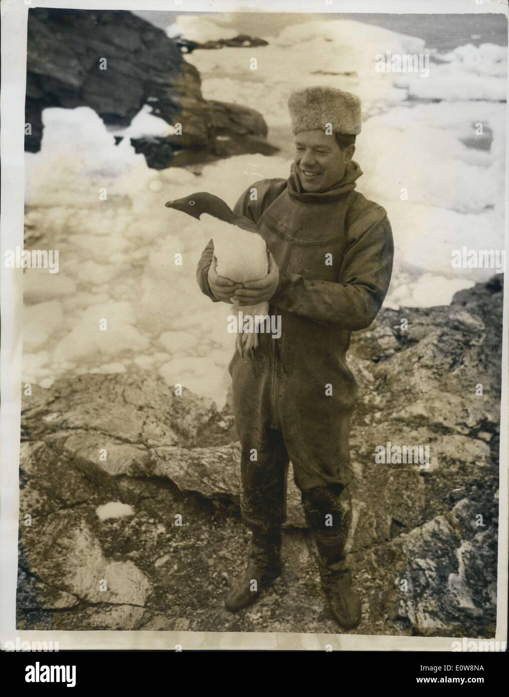 Royal navy divers in hi-res stock photography and images - Alamy