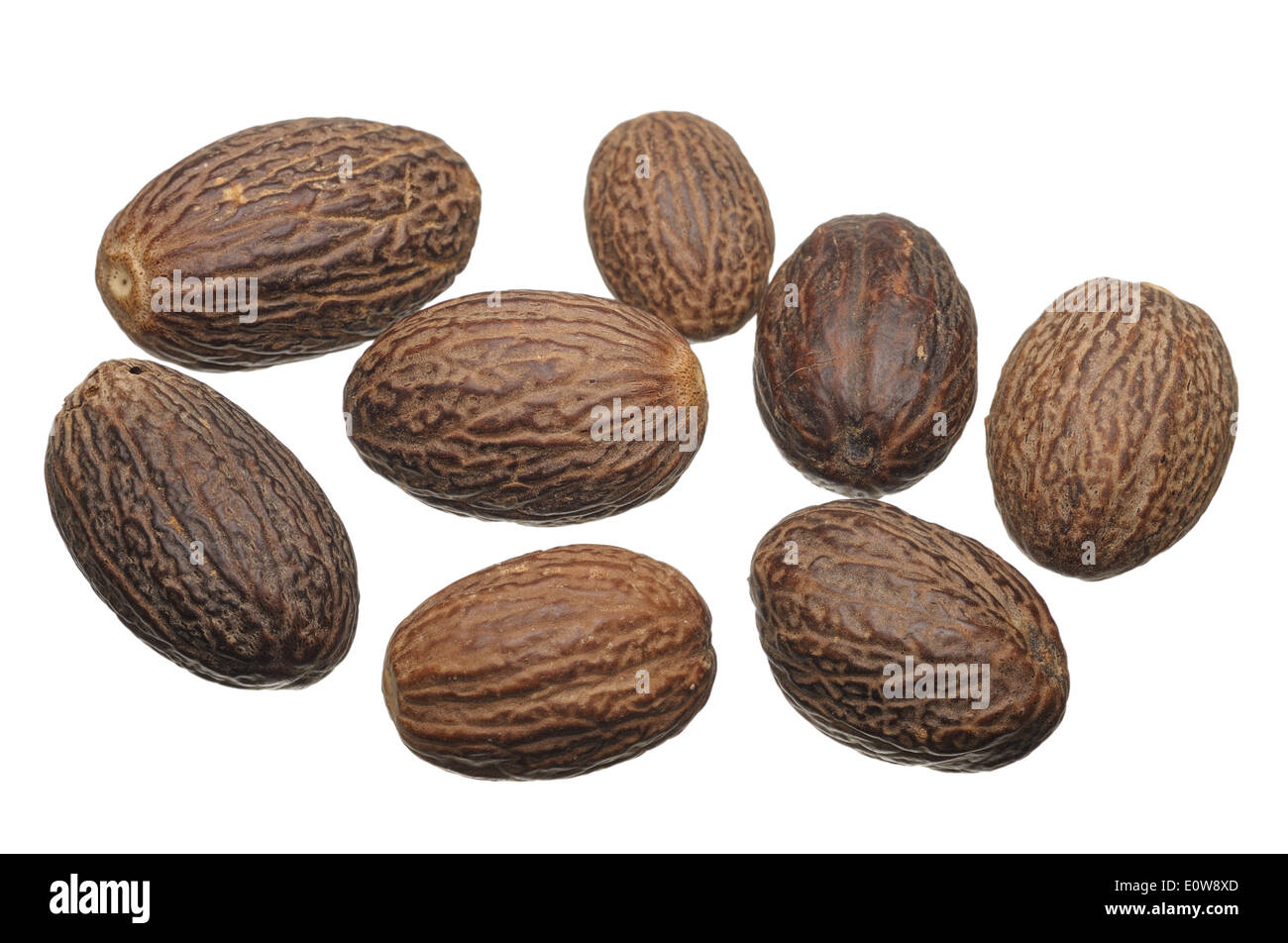 Whole nutmeg on a white background, isolated Stock Photo - Alamy