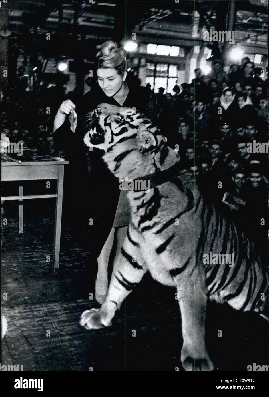 Anime Tiger Tamer