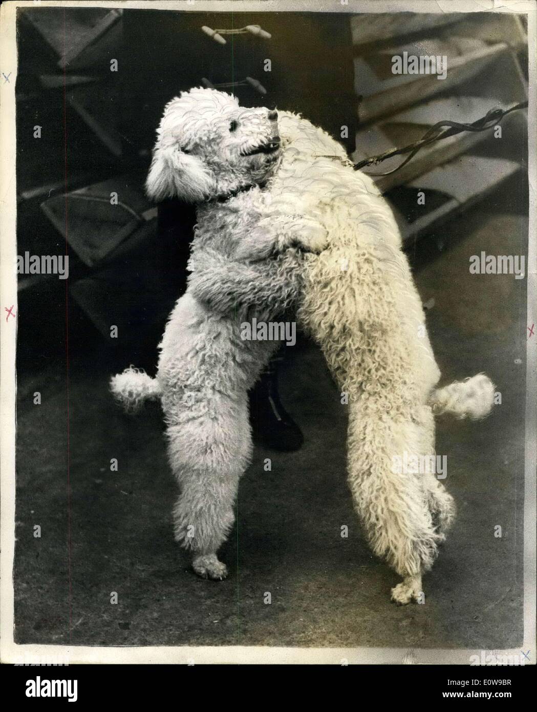 Entries hi-res stock photography and images - Alamy