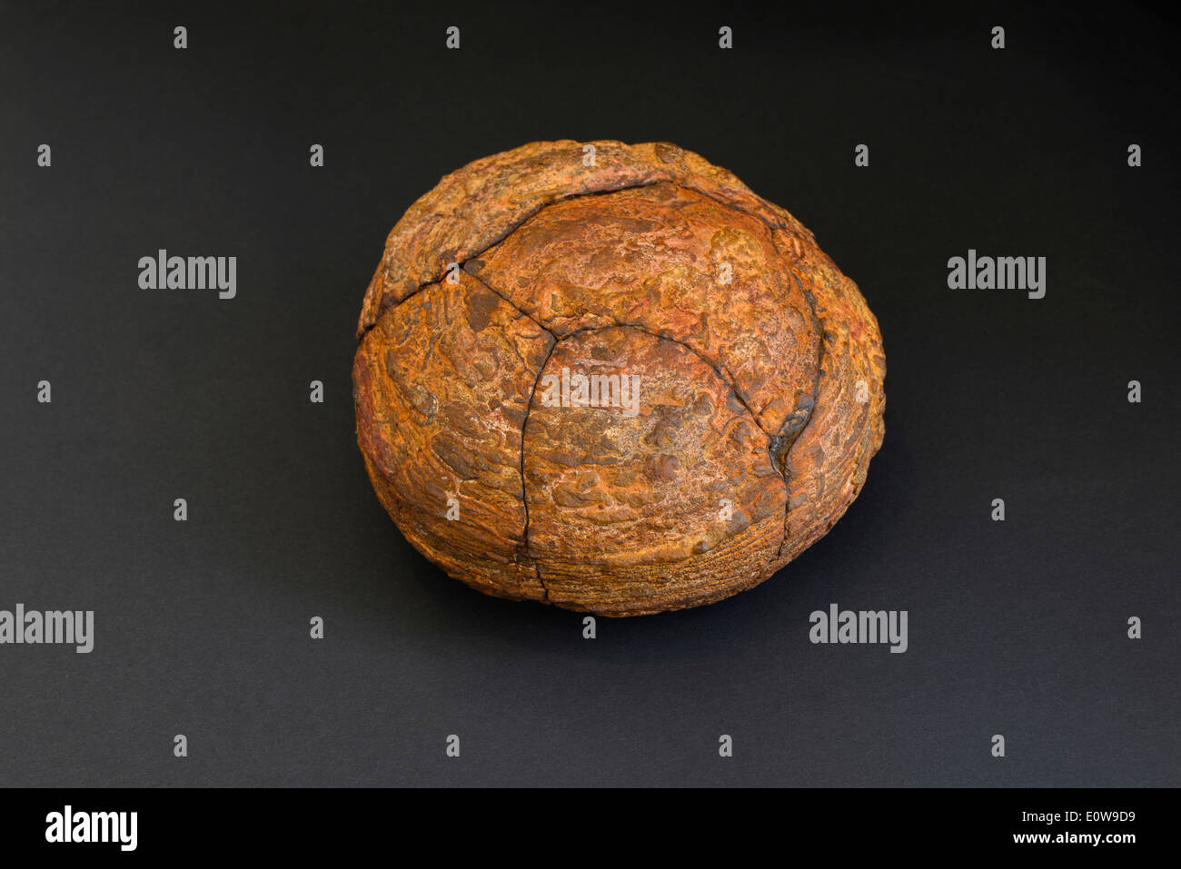Rough Boulder Opal, studio picture against a black background Stock ...