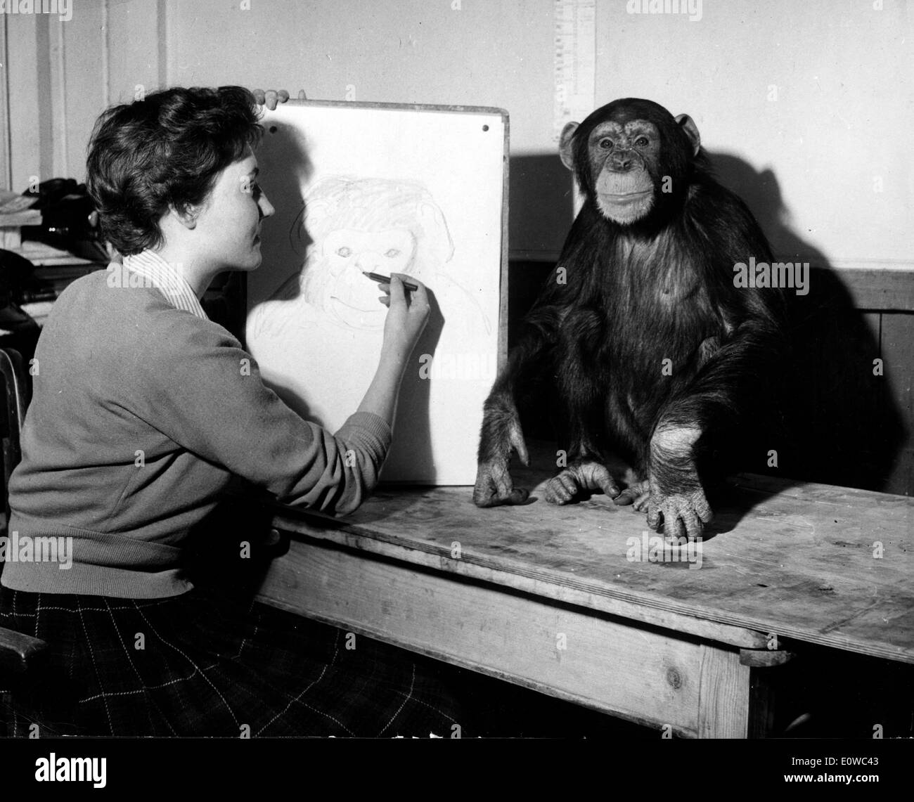 Sketched hi-res stock photography and images - Alamy