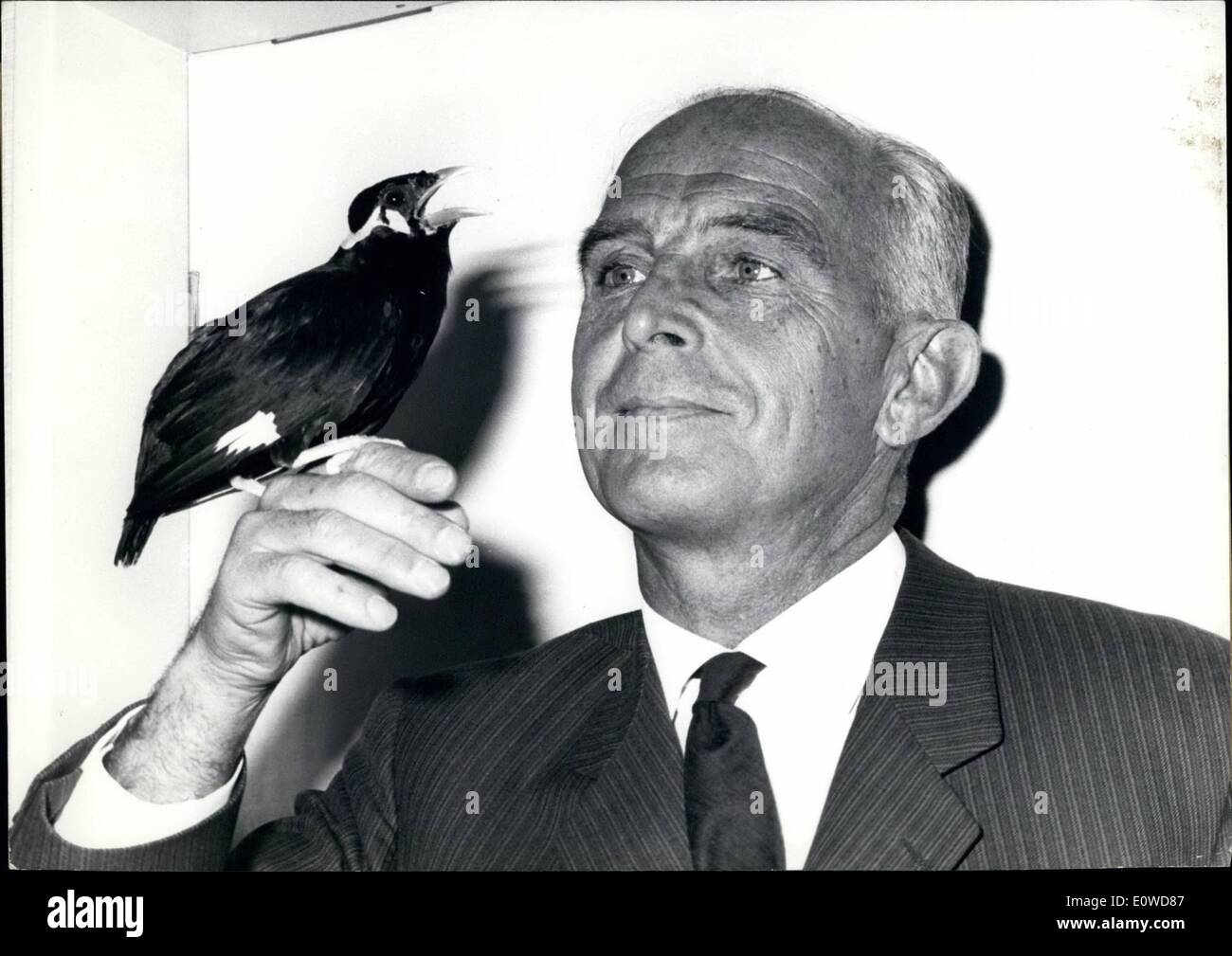 Timothy Bird's Instagram, Twitter & Facebook on IDCrawl