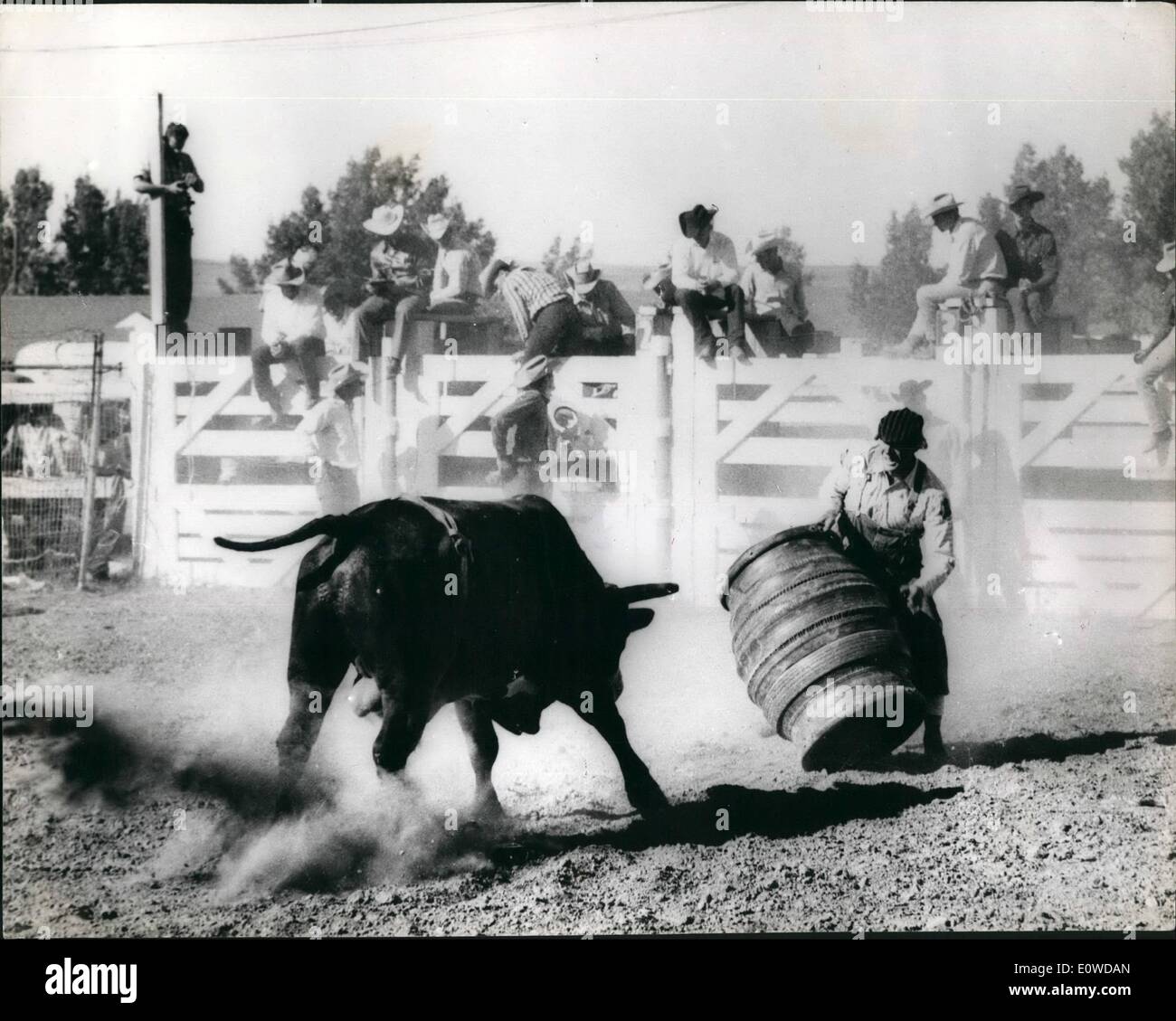 Jun. 06, 1962 - The Bull Sees Barrel: Roll out the barrel, cowboy. It's ...