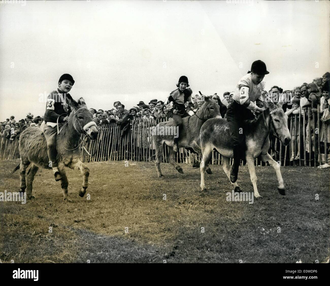 Fighting out finish one donkey races hi-res stock photography and ...