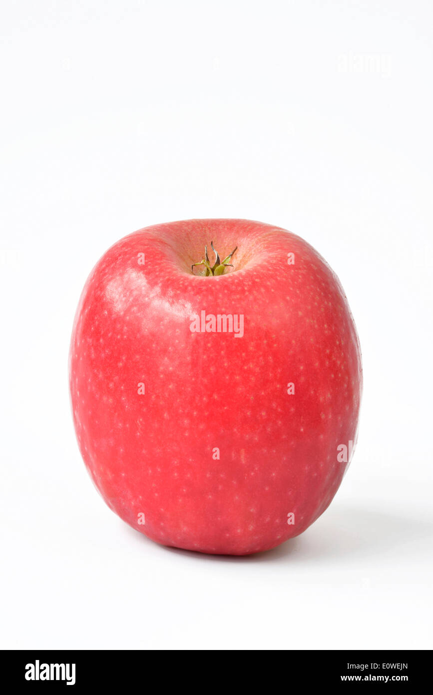 Domestic Apple (Malus domestica), variety: Cripps Pink, fruit, studio ...