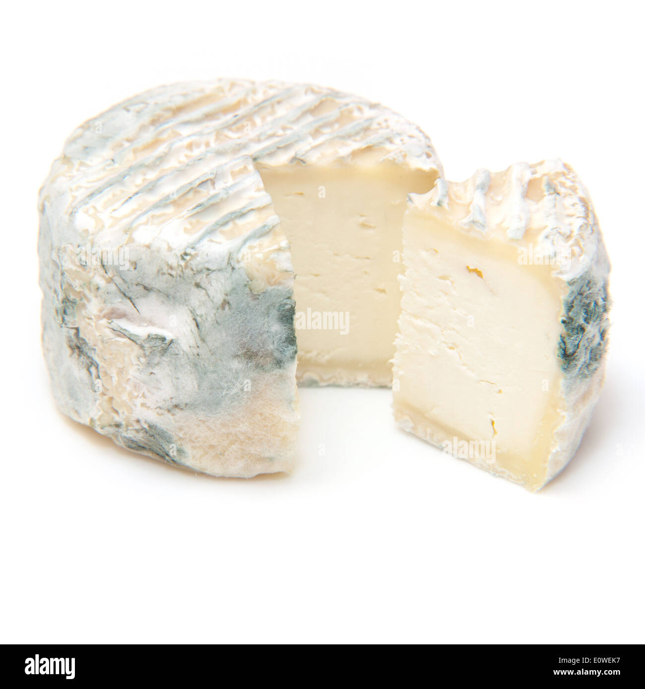 French goats cheese "crottin de chavignol" isolated on a white studio ...