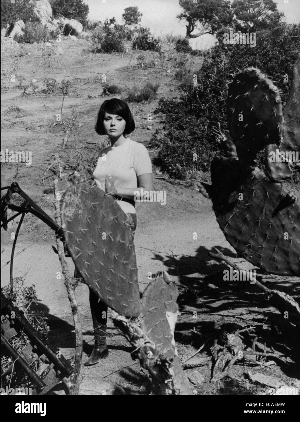 Summertime dessert Black and White Stock Photos & Images - Alamy