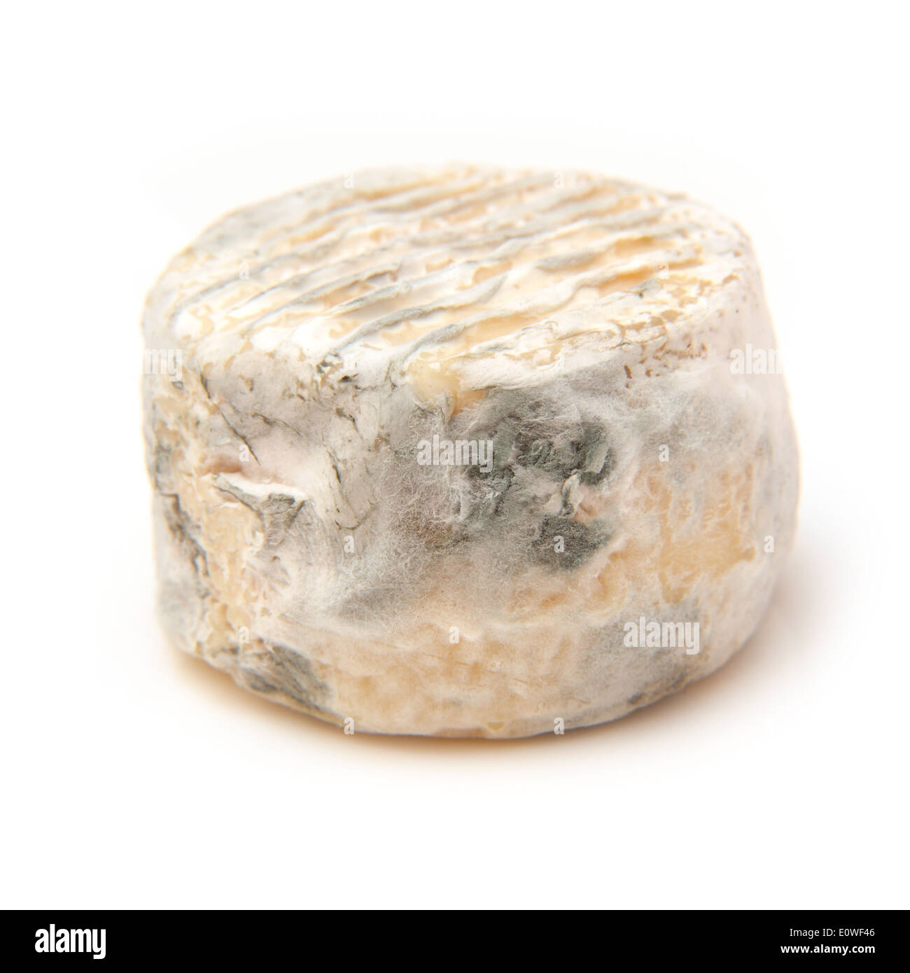 French goats cheese "crottin de chavignol" isolated on a white studio ...
