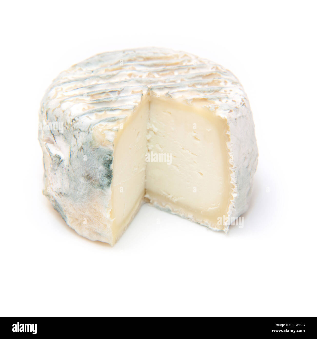 French goats cheese "crottin de chavignol" isolated on a white studio ...