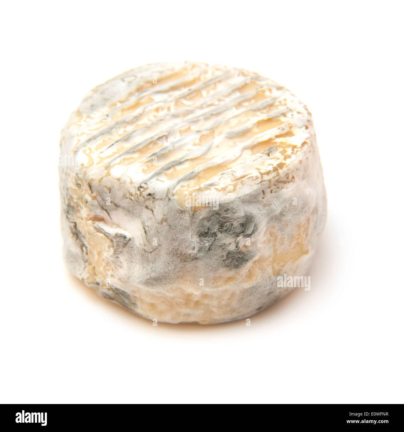 French goats cheese "crottin de chavignol" isolated on a white studio ...