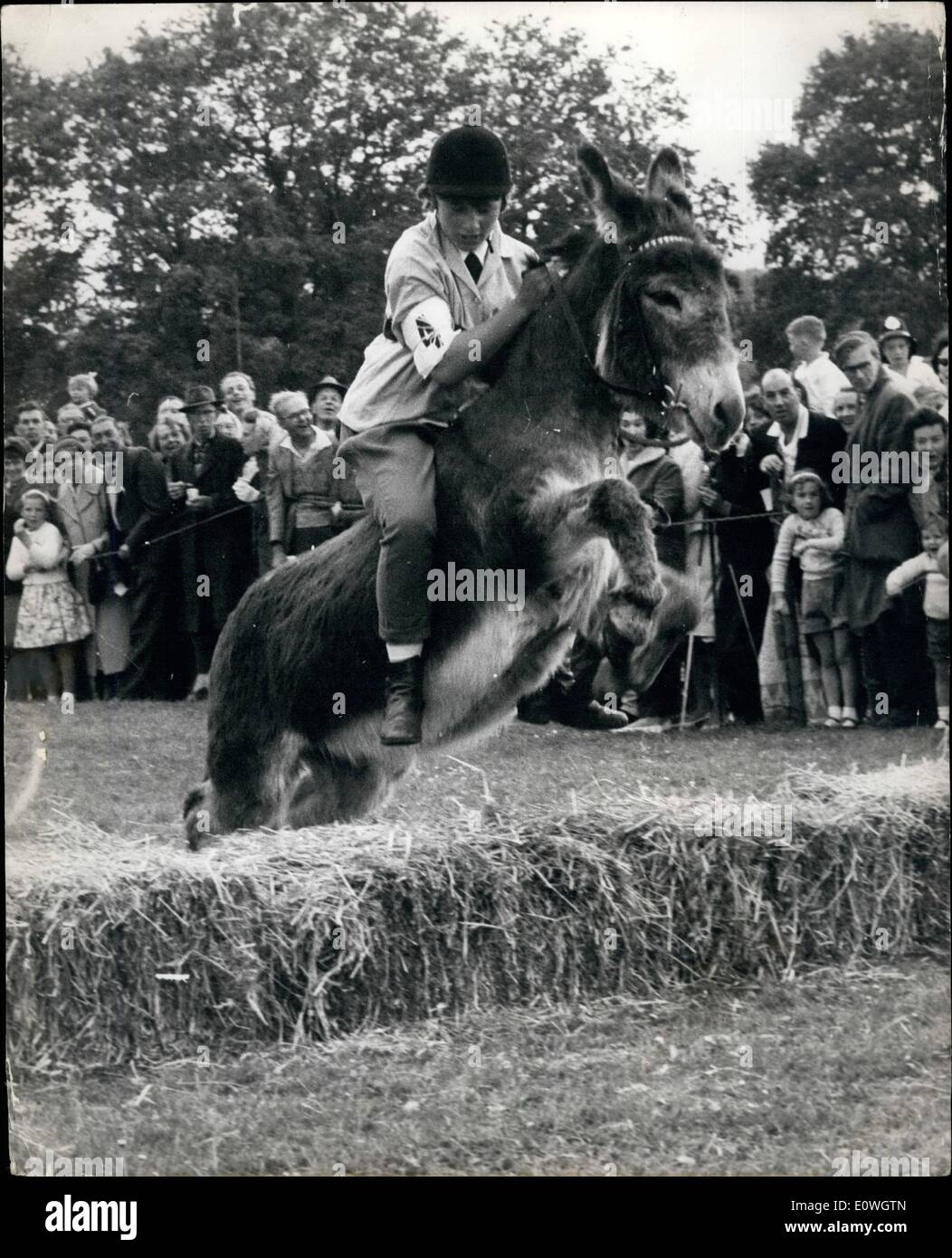 Dec. 12, 1962 - Donkey-Chase: Donkey work for a change for ''Big-Head ...