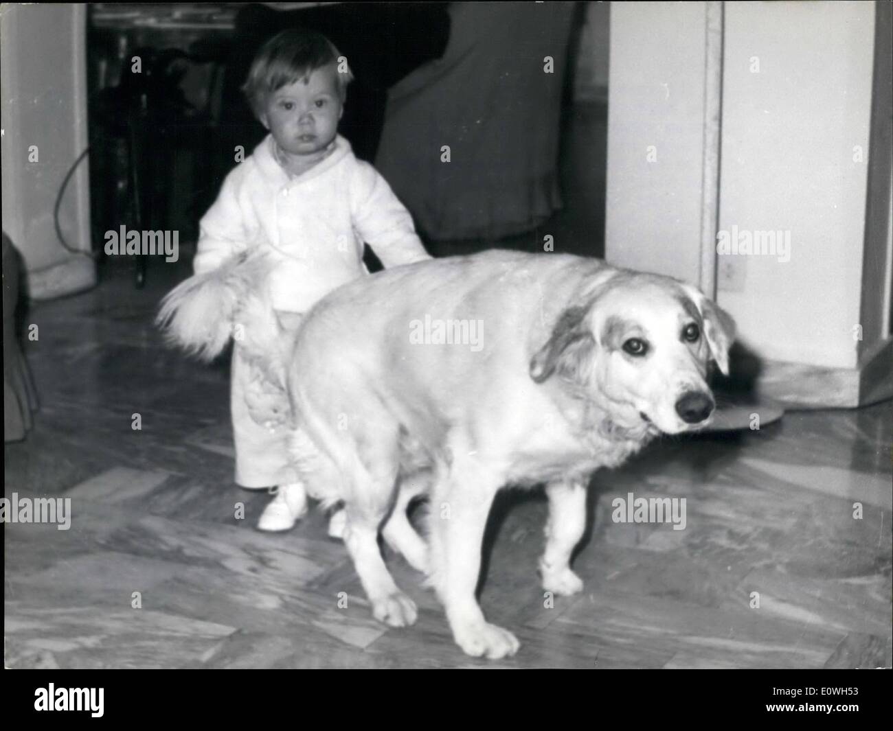 Cameron mitchell jr hi-res stock photography and images - Alamy