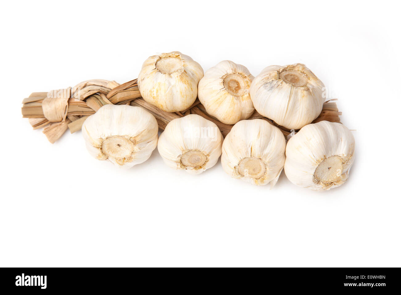String of Garlic bulbs isolated on a white studio background Stock ...