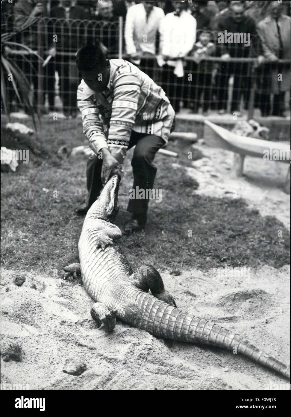 May 23, 1963 - Jackie Willie, Seminole Descendant with Alligator at ...