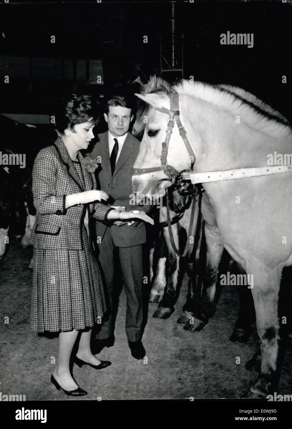 Circus rider hi-res stock photography and images - Alamy