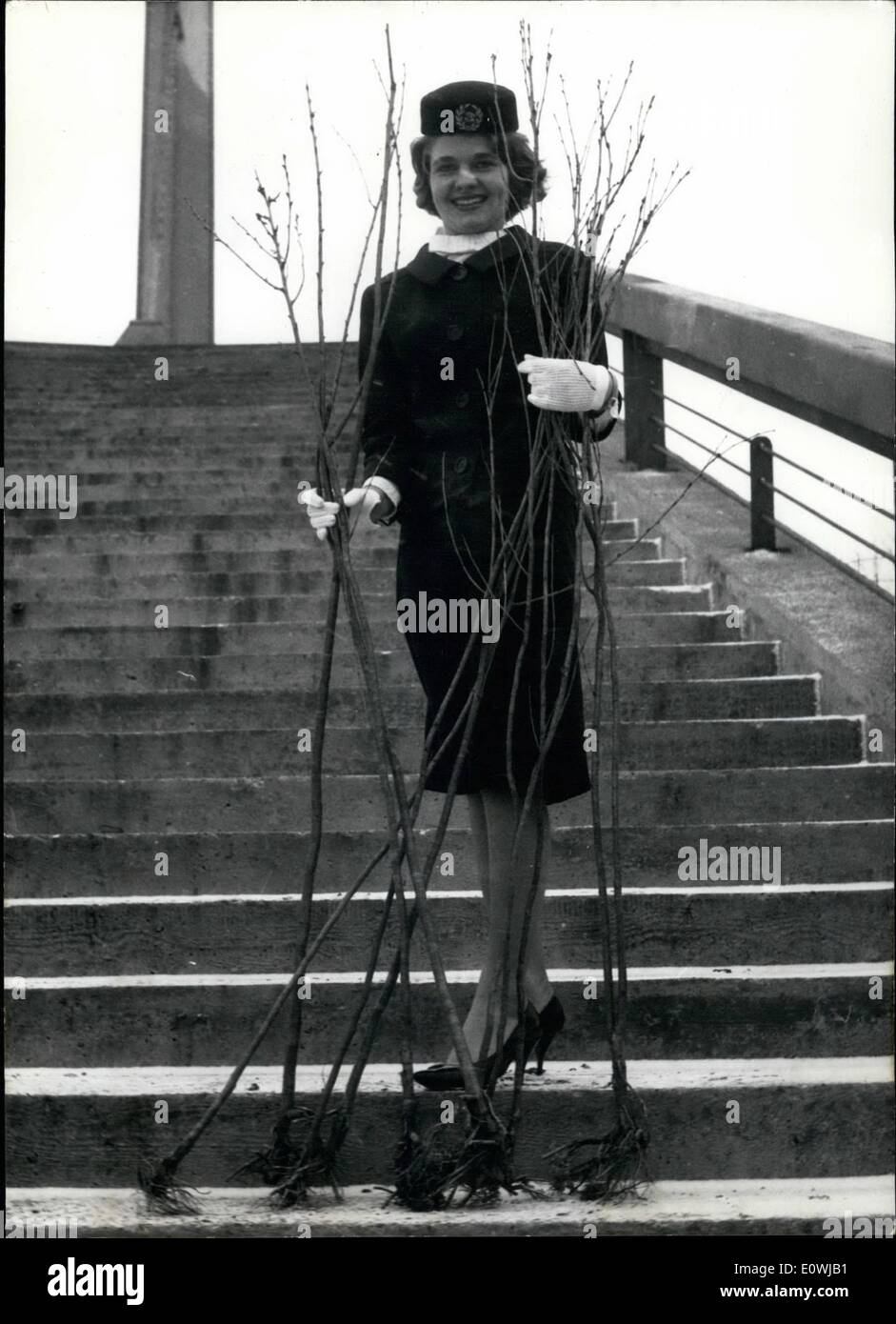 Mar. 03, 1963 - Over the North Pole the first cherry-trees came from ...