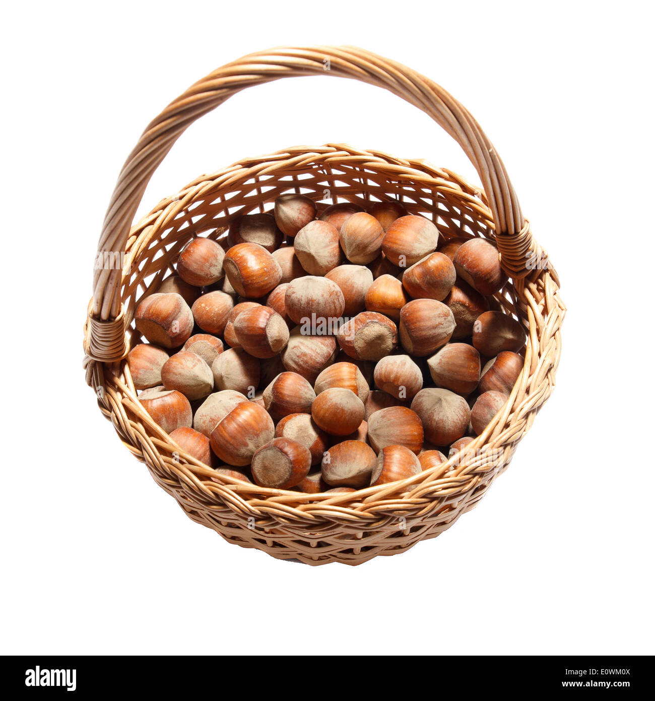 Hazelnut group Cut Out Stock Images & Pictures - Alamy