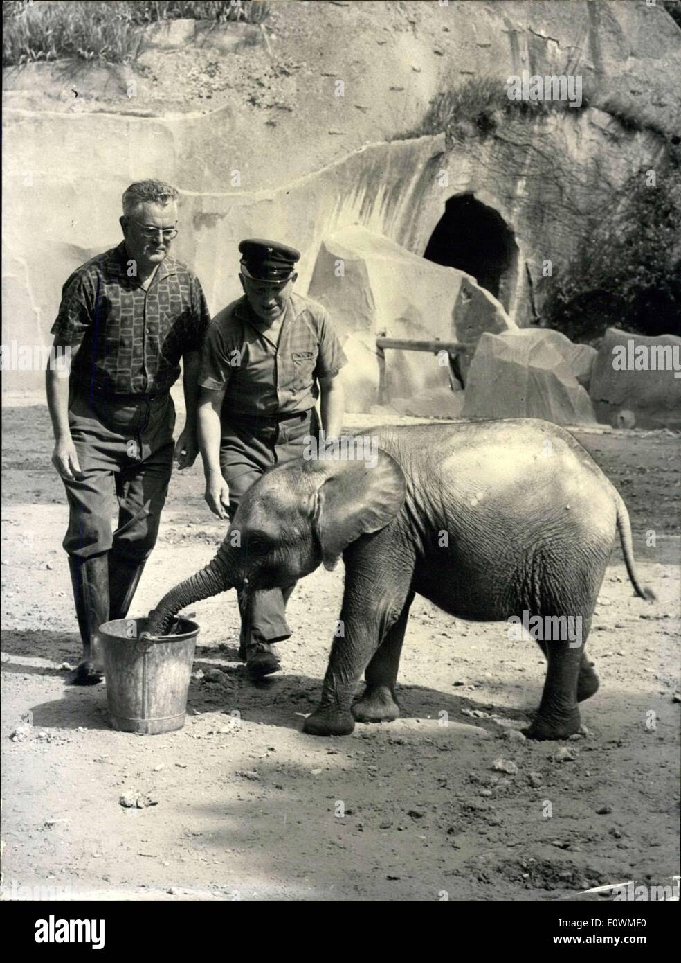 Aug. 06, 1963 - A rare Baby Elephant: The Zoo in Paris received from ...