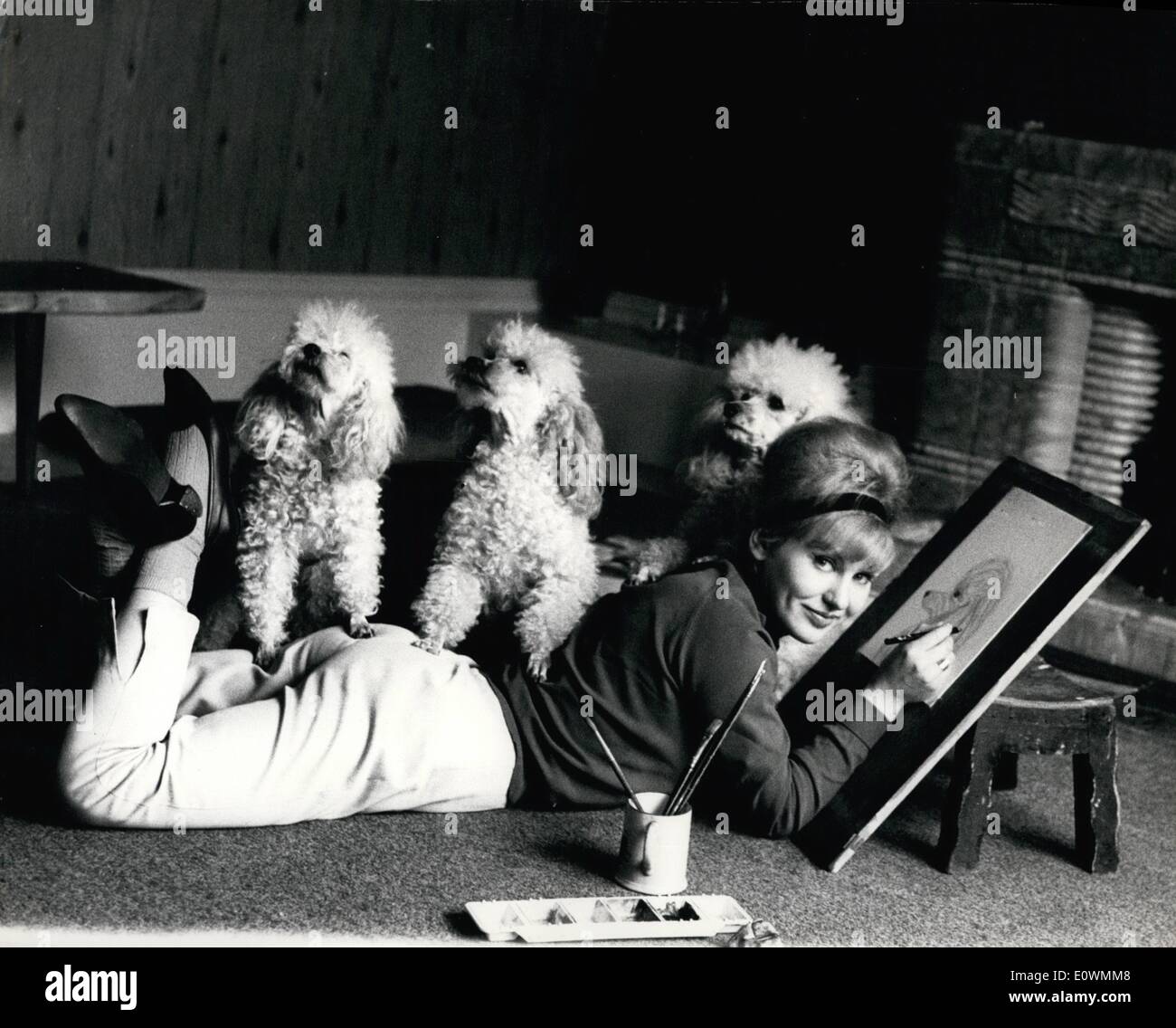 Pretty poodle doodler hi-res stock photography and images - Alamy