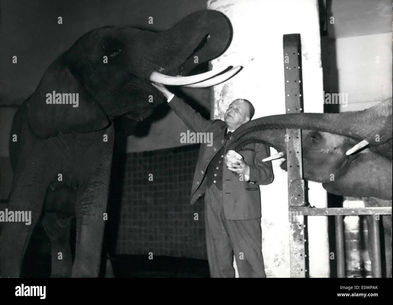 Jan. 01, 1964 - ''Happy Birthday'' nieged, cried and twittered the ...