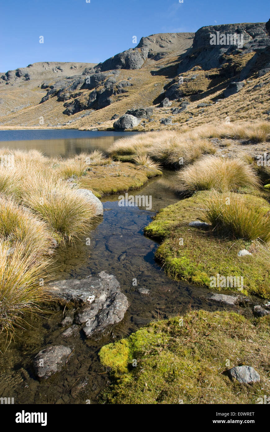Lake McKay, Pisa Range, near Queenstown, Central Otago, South Island ...