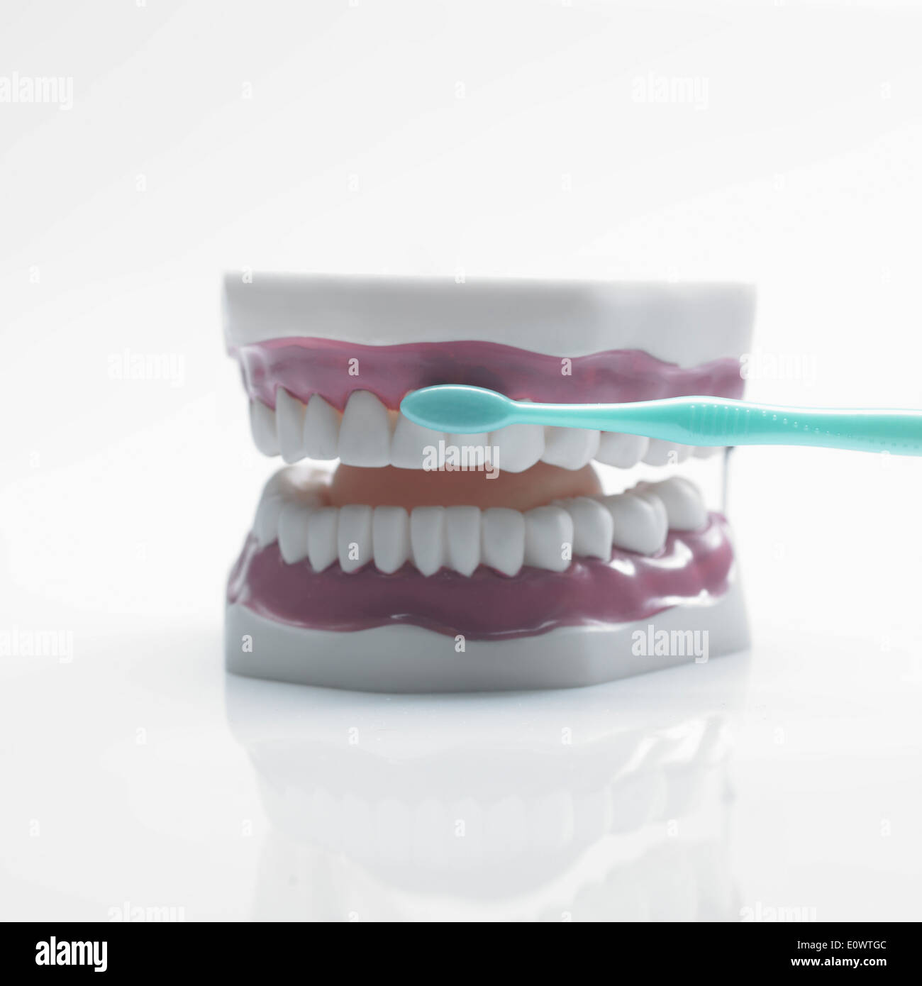 a toothbrush next to a model of mouth and teeth Stock Photo - Alamy