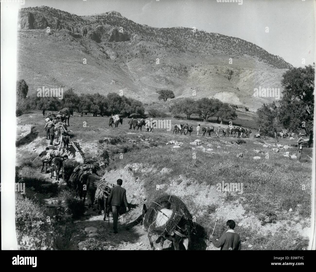 Donkey used transport in hi-res stock photography and images - Alamy
