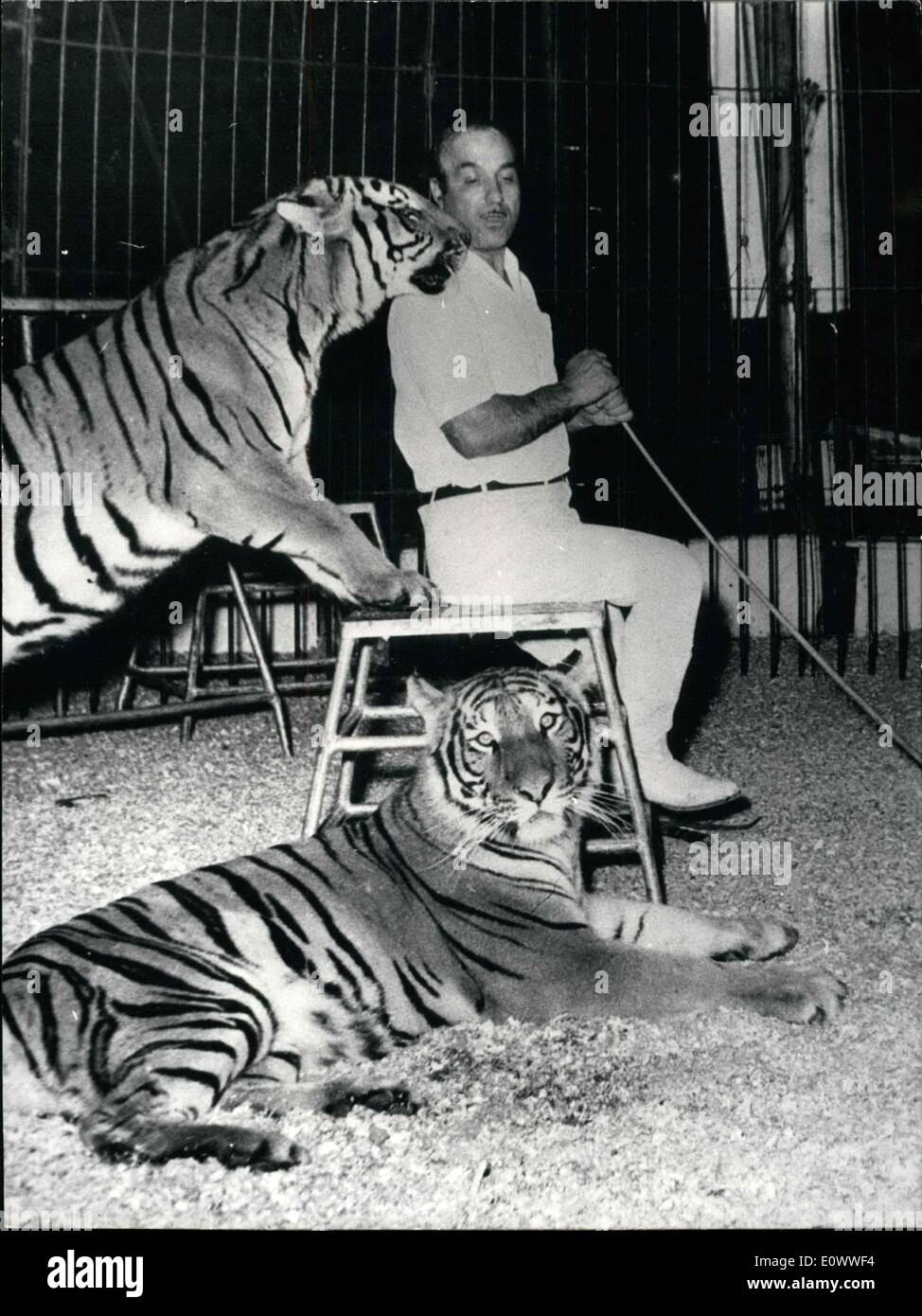 Mar. 25, 1964 - A tamer is seriously wounded by a tiger: Yesterday ...