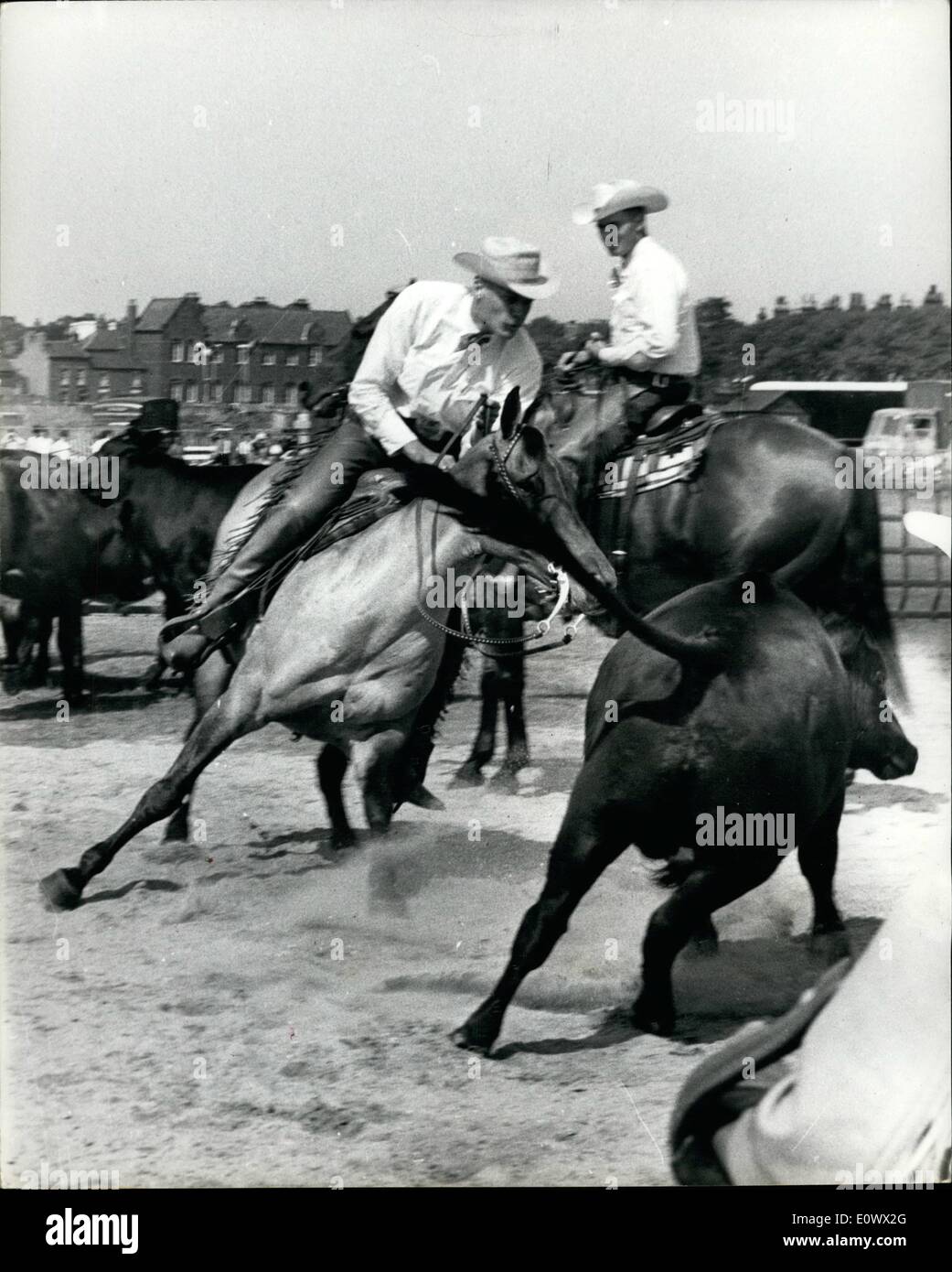 Cutting horses hi-res stock photography and images - Alamy