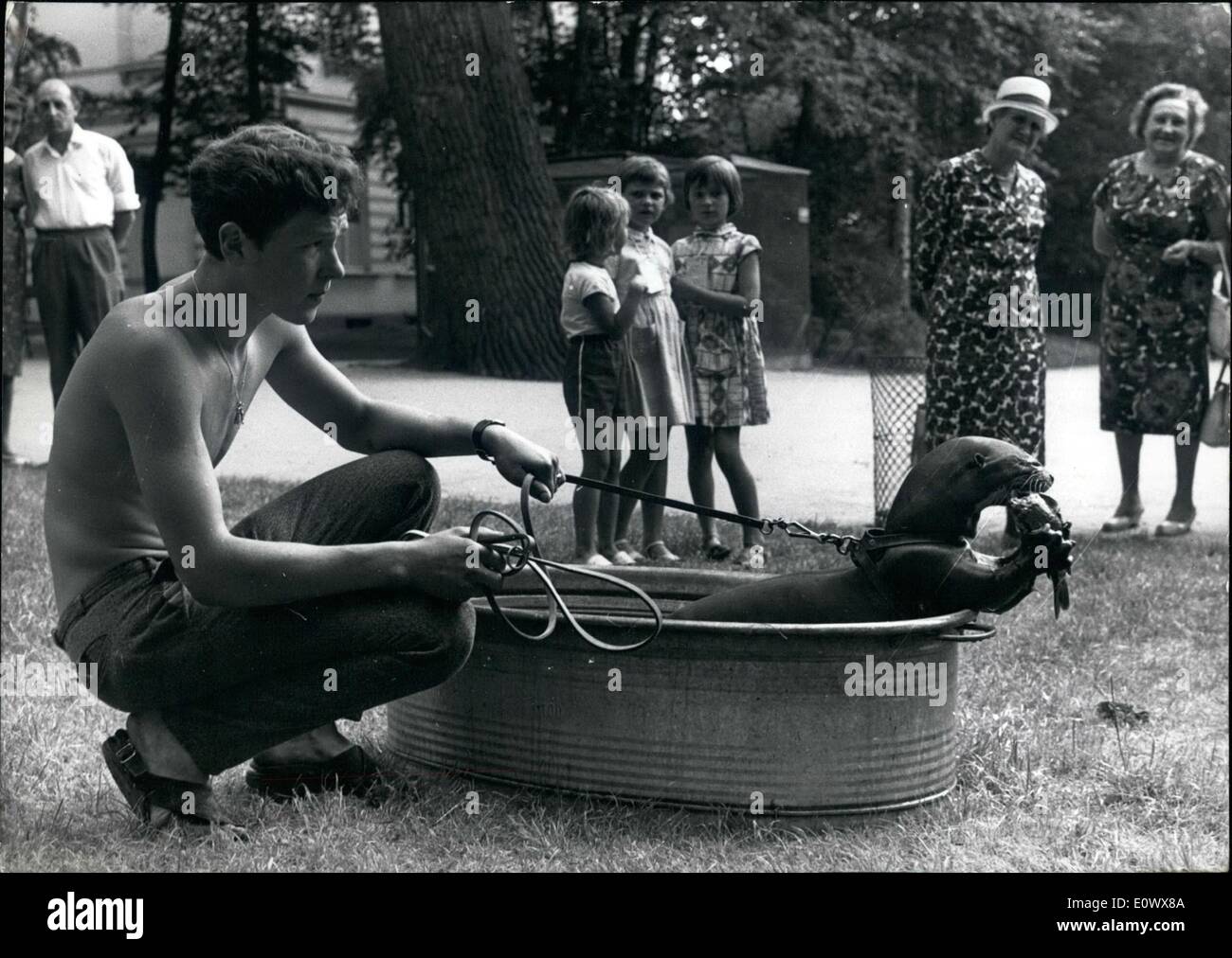 1000 kilograms hi-res stock photography and images - Alamy