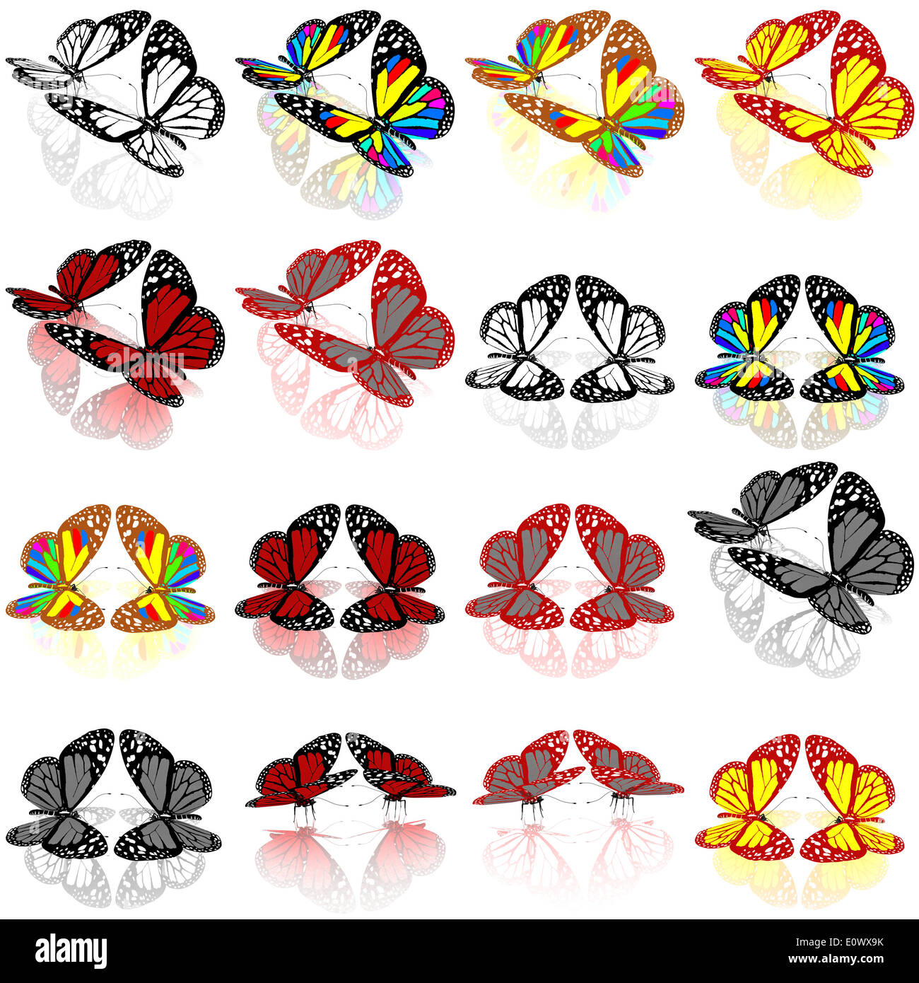 Butterflies botany set Stock Photo - Alamy