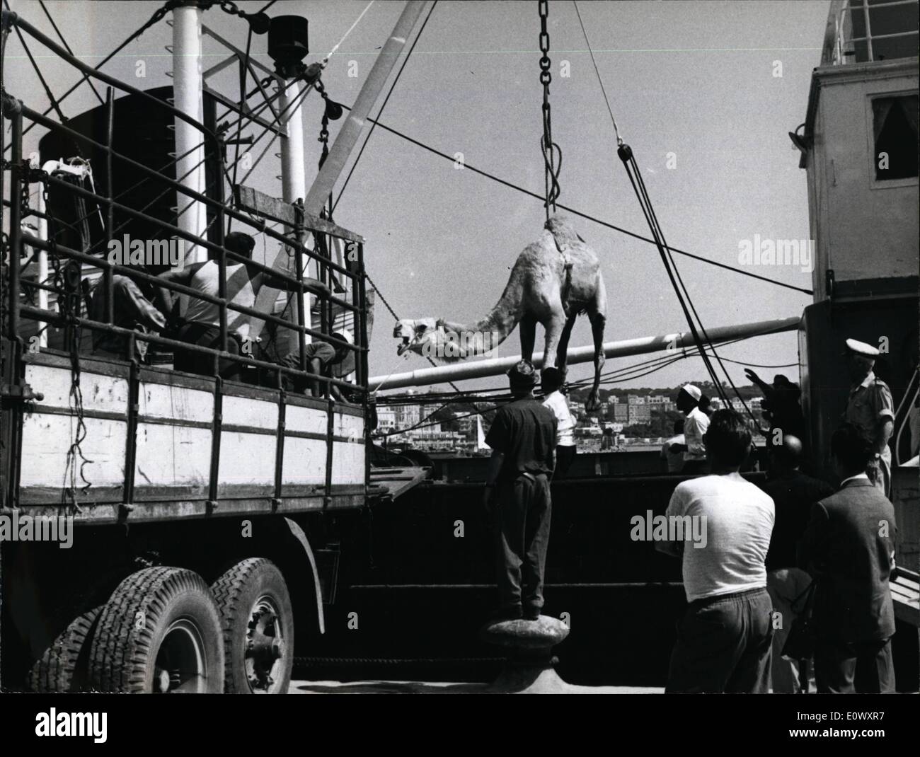 Noe arch hi-res stock photography and images - Alamy